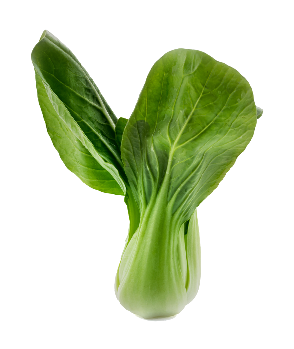 Pak Choi - RJ Cherry and Son